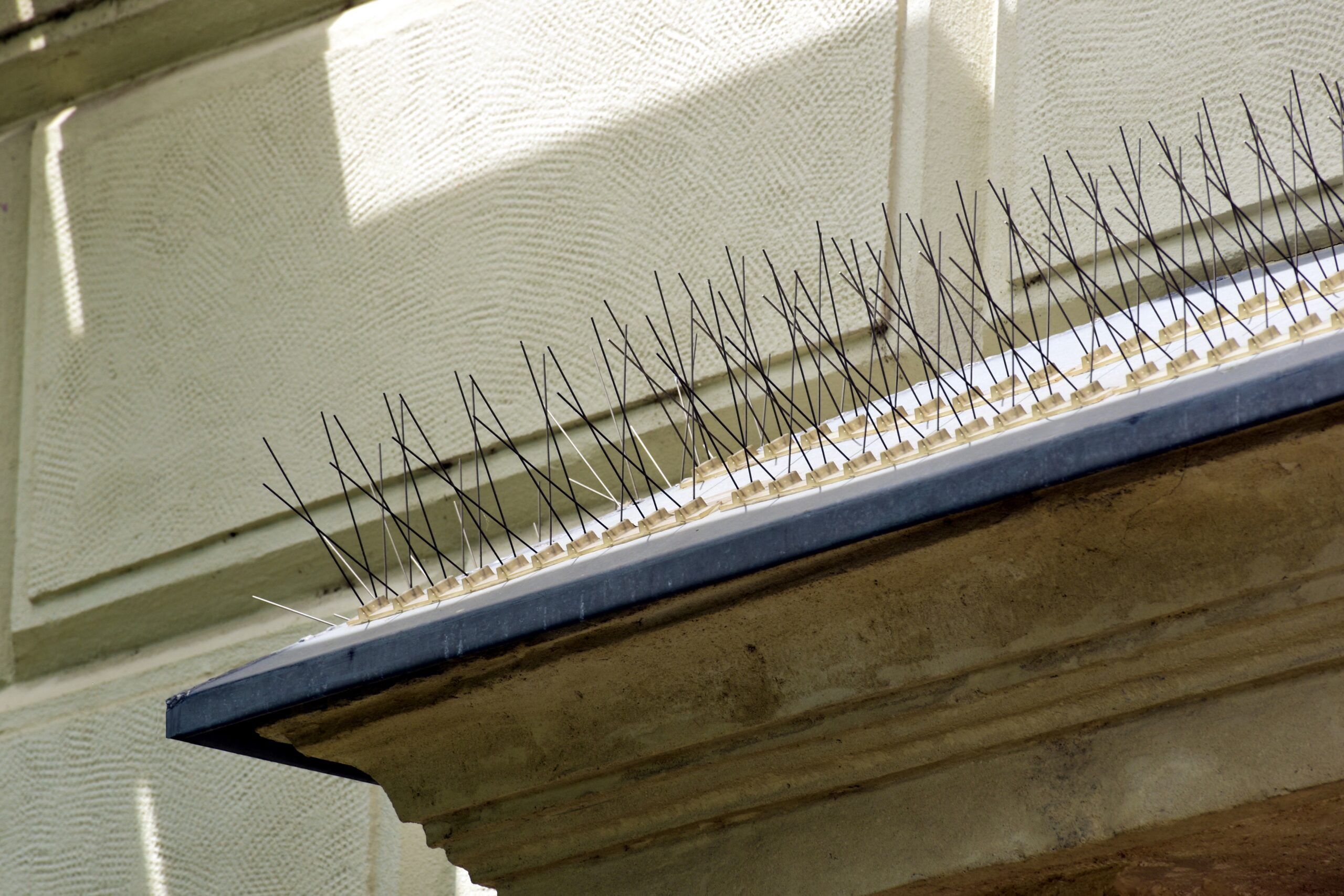 Bird Spikes Installation Service | JK Gutter Cleaning