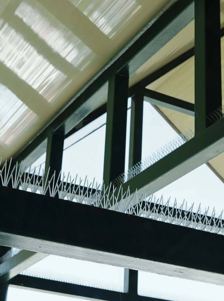Bird Spikes Installation Service | JK Gutter Cleaning